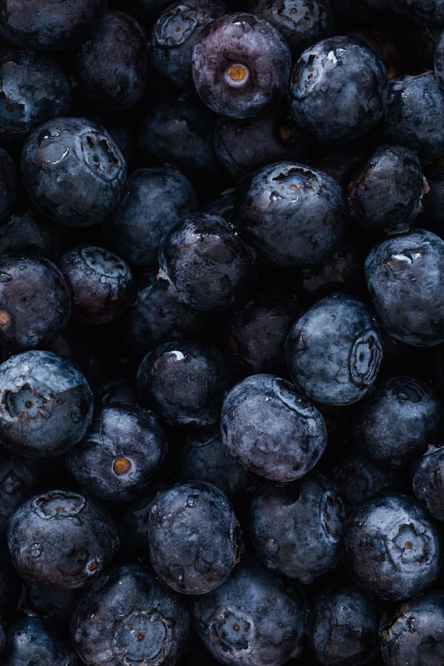 Het verschil tussen bosbes en blauwe bes | alle verschillen uitgelegd