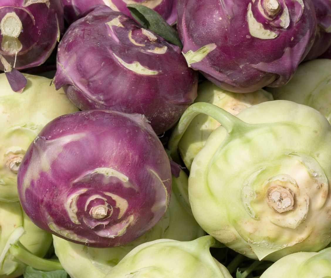 Het verschil tussen koolraap en koolrabi | Alle verschillen uitgelegd.
